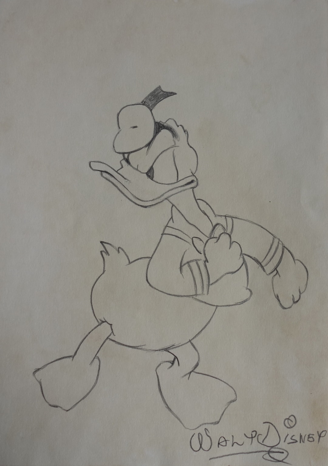 Cartoon Character Study - Drawing With Signature Inscription and ...