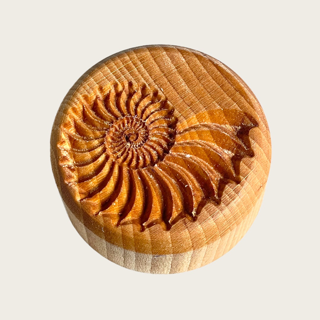 Round Clay Stamp Structures Ceramic Pottery Jewelry NAUTILUS - Etsy