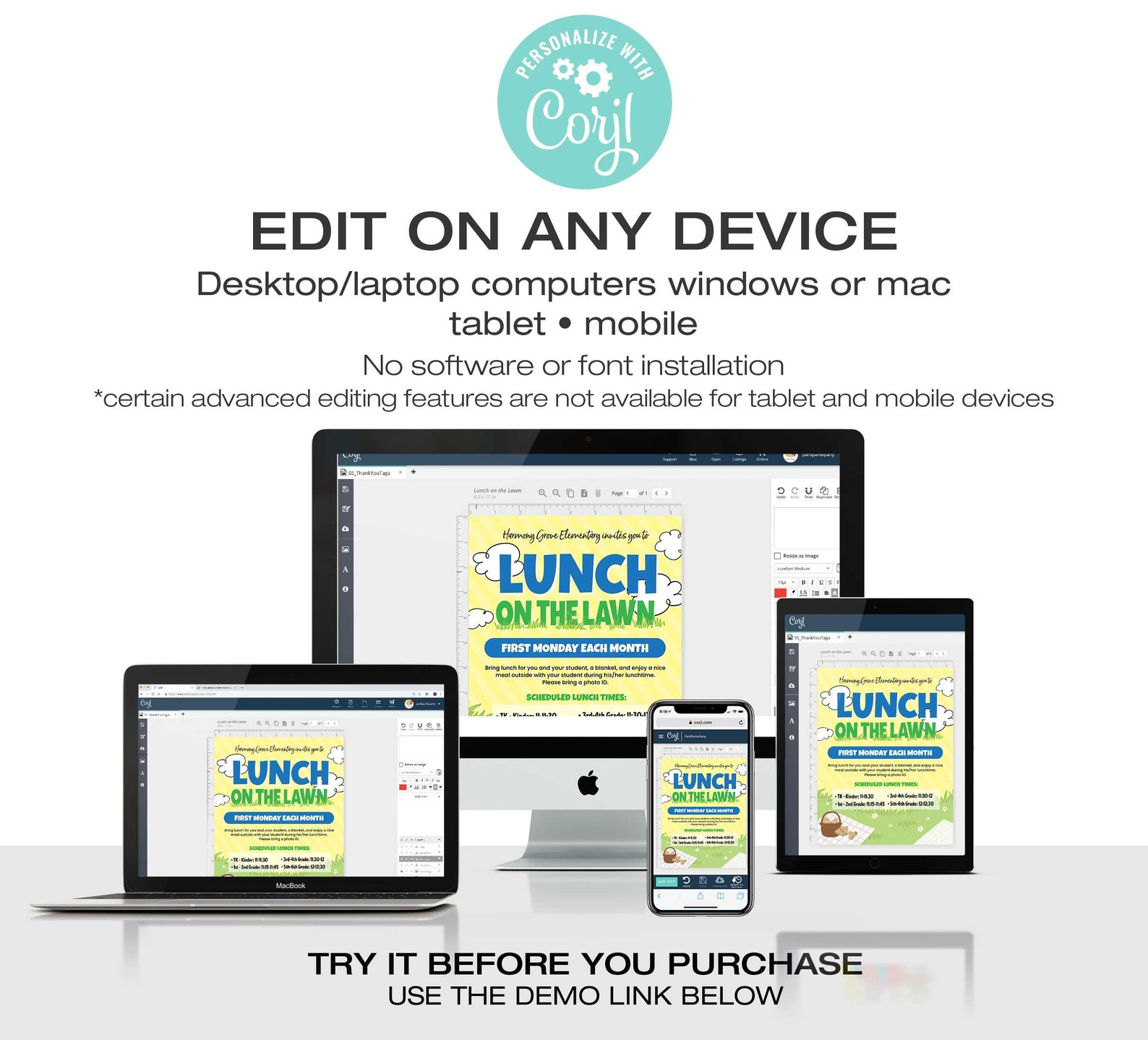 Lunch on the Lawn Flyer Template EDITABLE| Picnic Lunch Flyer | 8.5 X ...