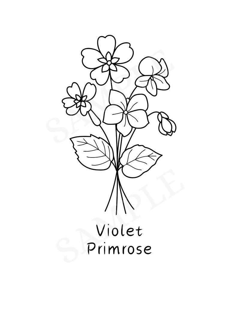 February Birth Flower Print, Violet and Primrose B&W Art (digital ...