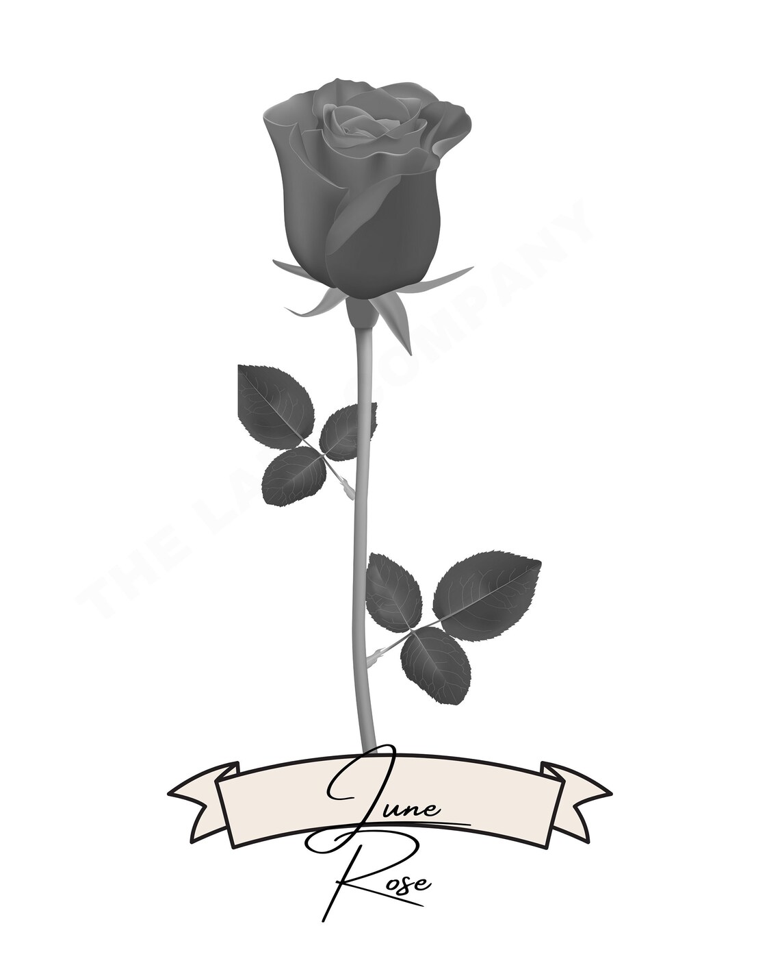 June Rose Birth Flower Art, Black & White Floral Print (digital ...