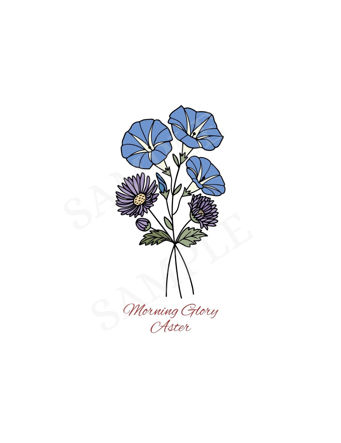 September Birth Flower Art Print: Morning Glory & Aster, Personalized ...