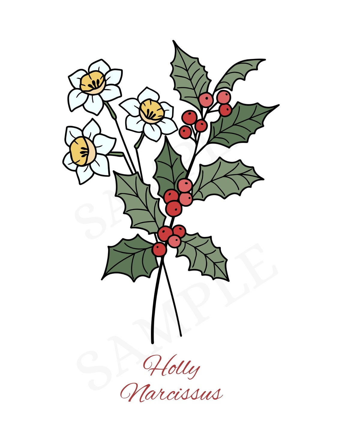 December Holly + Narcissus B&W Birth Flower Wall Art Digital File ...