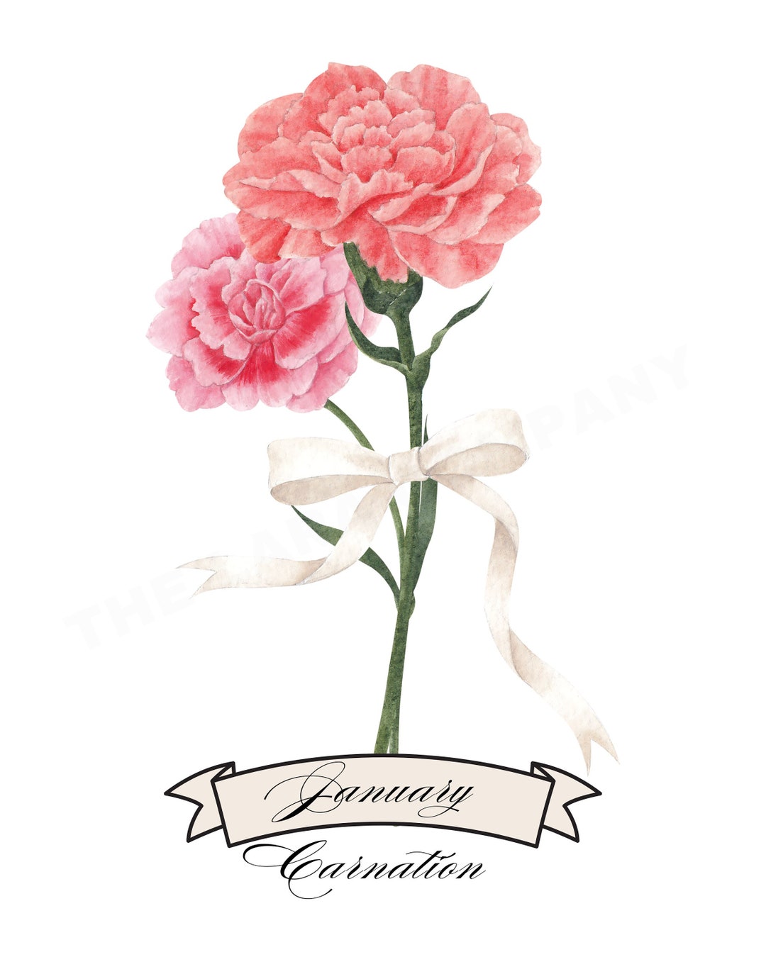 January Birth Flower Wall Art Carnation Digital File Download January ...