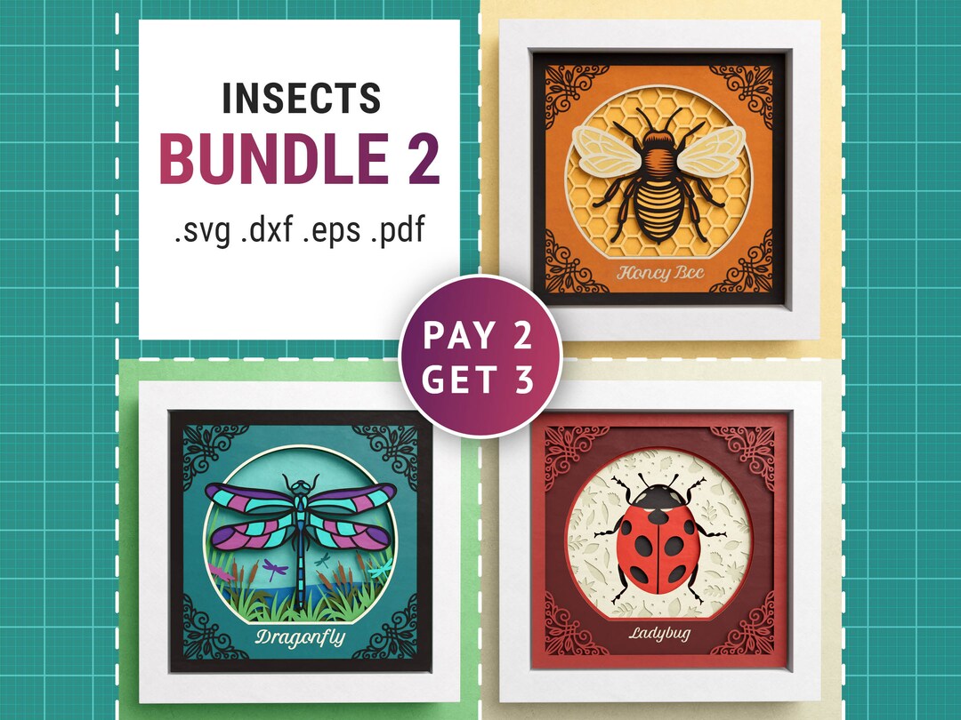 3D Insects Shadow Box Bundle, Butterfly Shadow Box SVG, Nature Layered ...