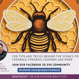 3D Honey Bee Shadow Box, Insect Cutout, Animal Shadow Box SVG, Files ...