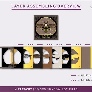 3D Death's Head Hawk Moth Shadow Box, Death Head Moth 3D SVG, Butterfly ...