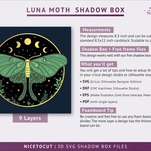 3D Luna Moth Shadow Box, Animal Shadow Box SVG, Mystical Moth Papercut ...