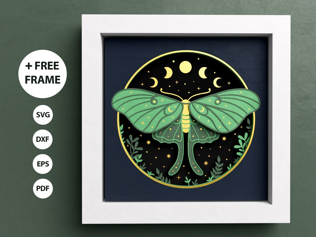 3D Luna Moth Shadow Box Animal Shadow Box SVG Mystical Moth - Etsy