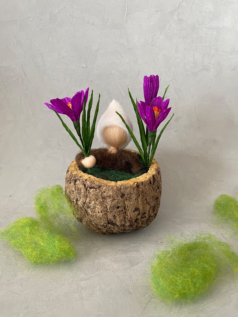 Little Crocus Child, Root Child Felted in a Brazil Nut Shell Mother ...