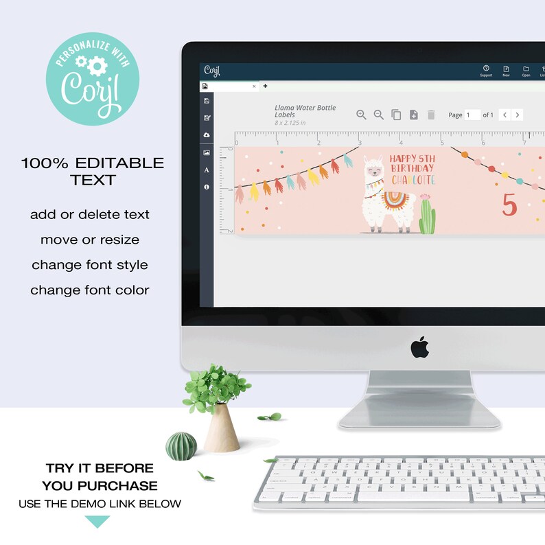 EDITABLE Printable Llama Water Bottle Labels Cactus Alpaca | Etsy