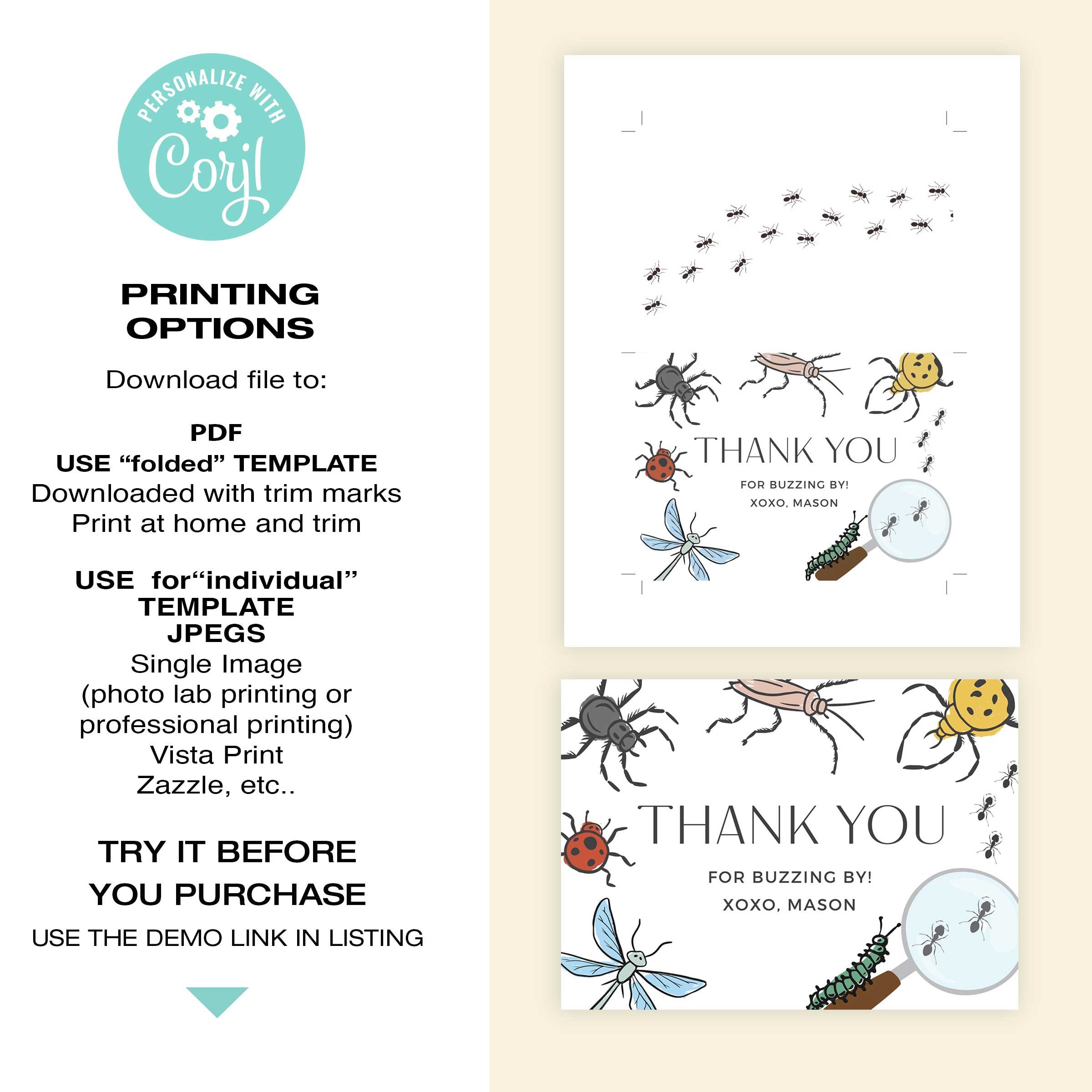 EDITABLE Insect Bug Thank You Card • Bugs • Bug Thank You Card | Modern ...