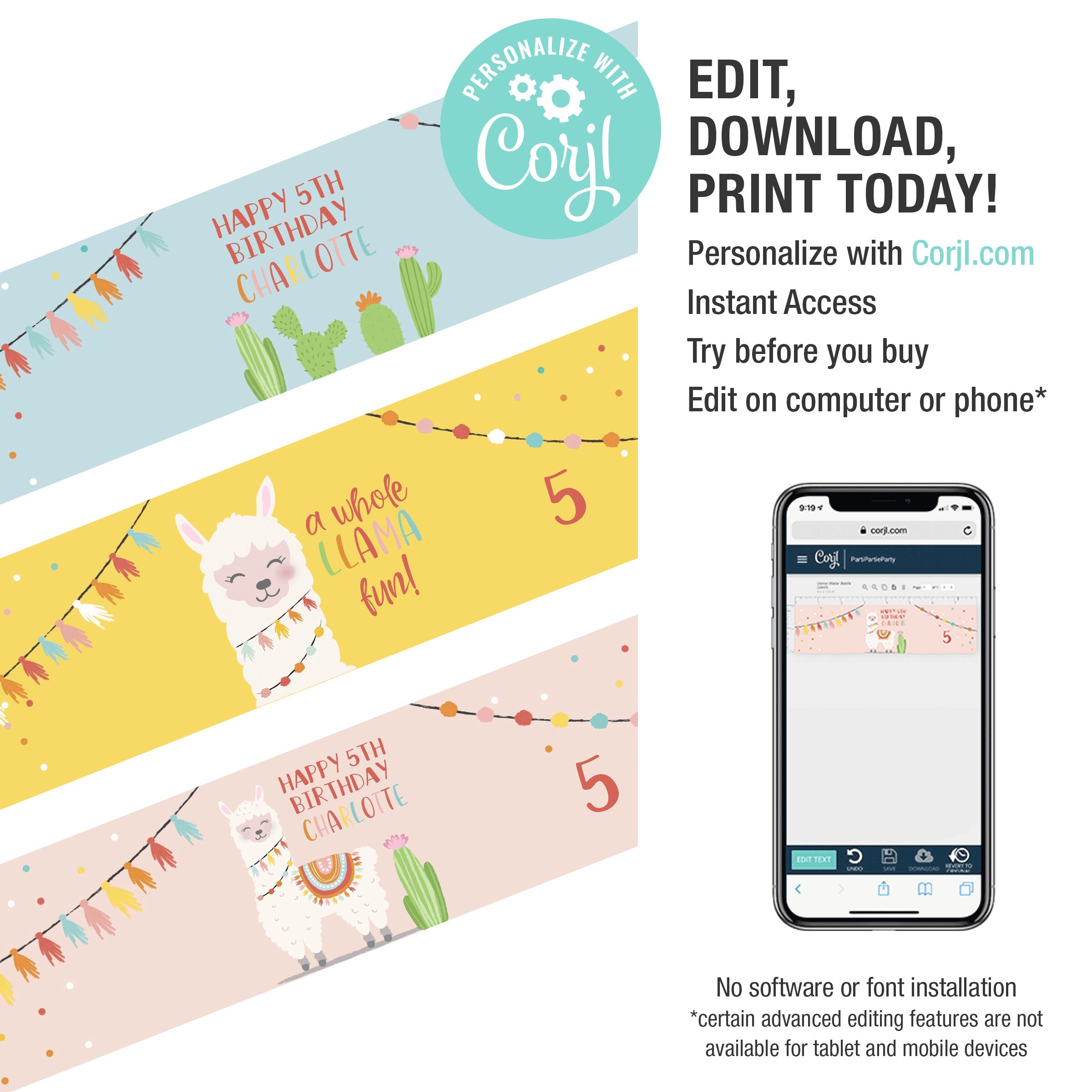 EDITABLE Printable Llama Water Bottle Labels Cactus Alpaca - Etsy