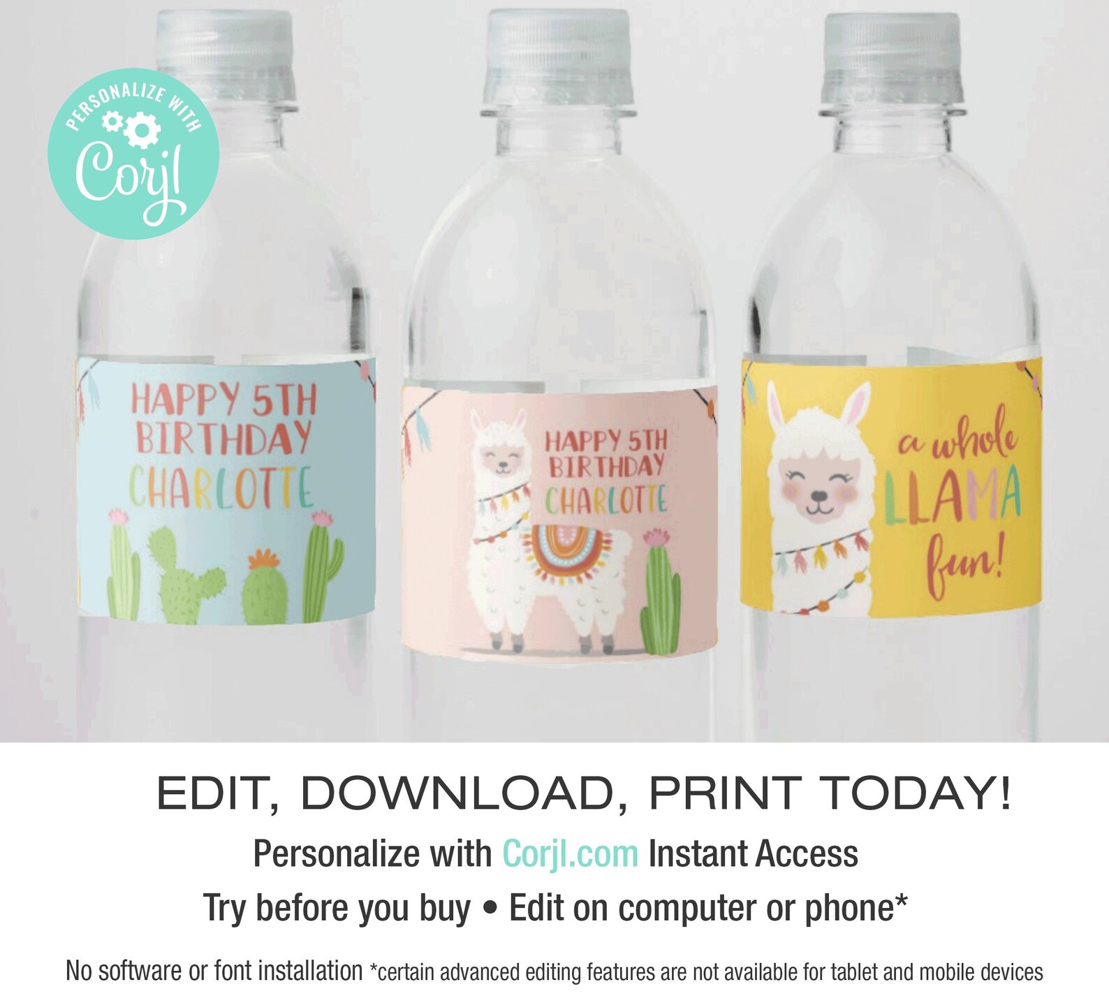 EDITABLE Printable Llama Water Bottle Labels Cactus Alpaca | Etsy