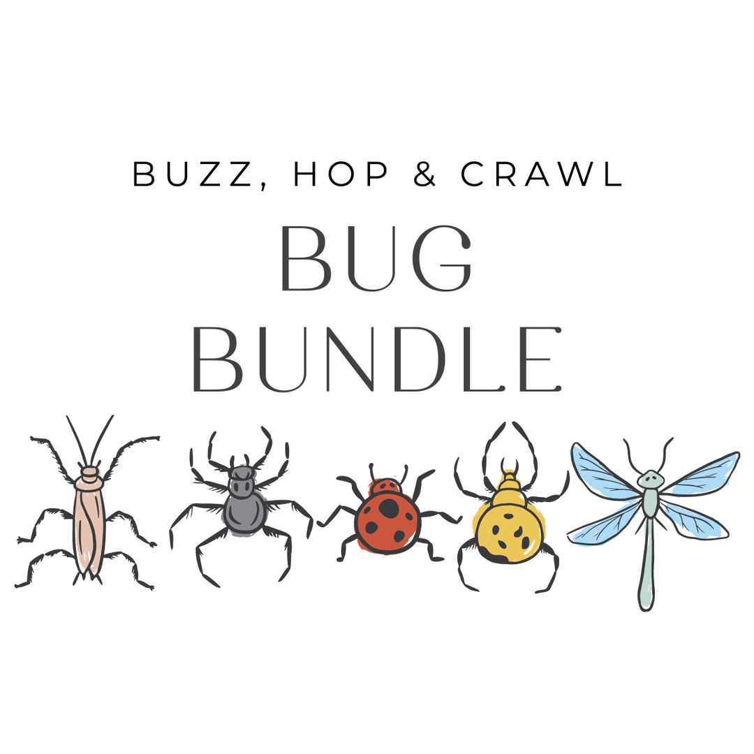 EDITABLE Insect Bug Birthday Party BUNDLE | 14 EDITABLE Digital ...