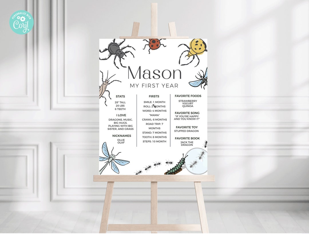 EDITABLE Insect Bug Party Milestone Sign - Poster | First Year Stats ...