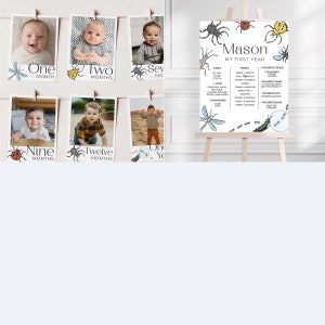 EDITABLE Insect Bug Birthday Party BUNDLE | 14 EDITABLE Digital ...