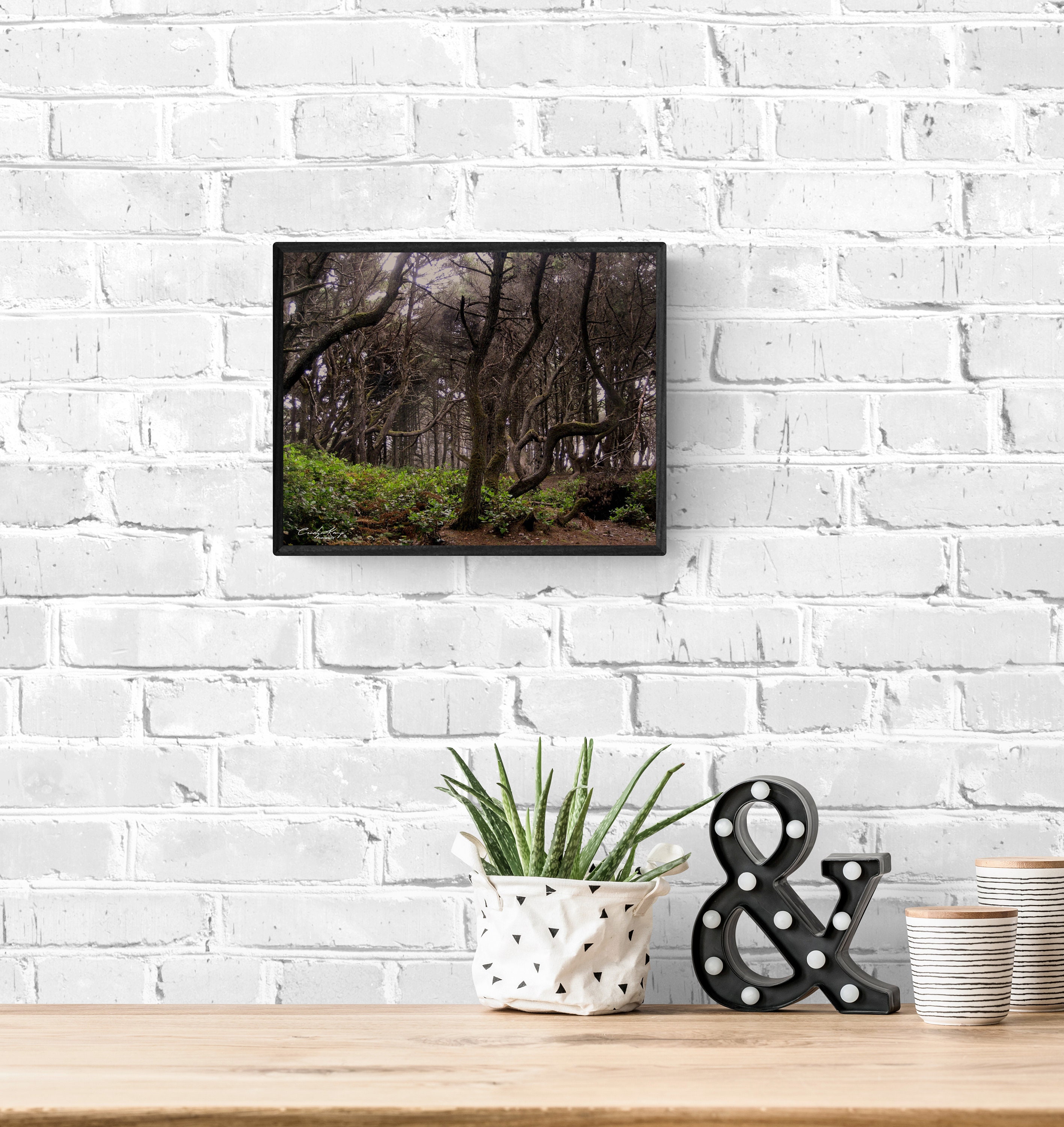 Witchy Wood, Landscape Photography, Photo Print - Etsy
