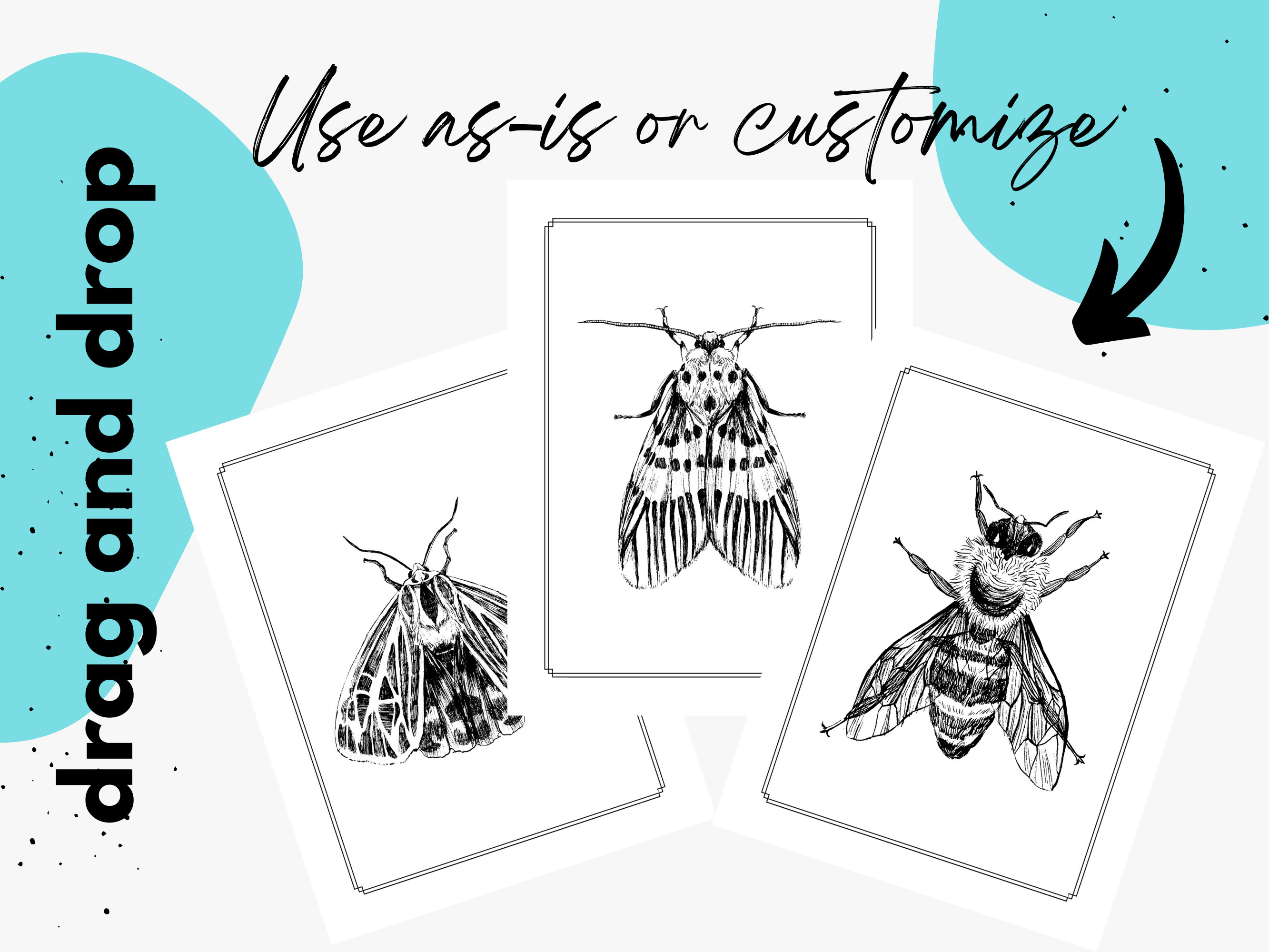 KDP Interior Coloring Pages ⋆ Bugs and Insects ⋆ Canva Template ⋆ 8 ...