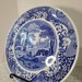 Spode Blue Italian Raised Cake/cheese Plate 11" - Etsy