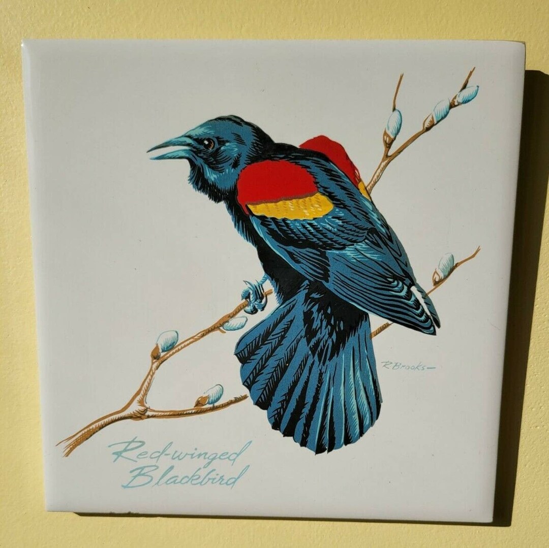 Vintage Screencraft REDWINGED BLACKBIRD Ceramic Tile - Etsy