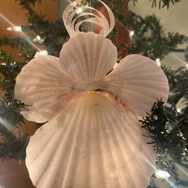 Seashell Angels - Etsy