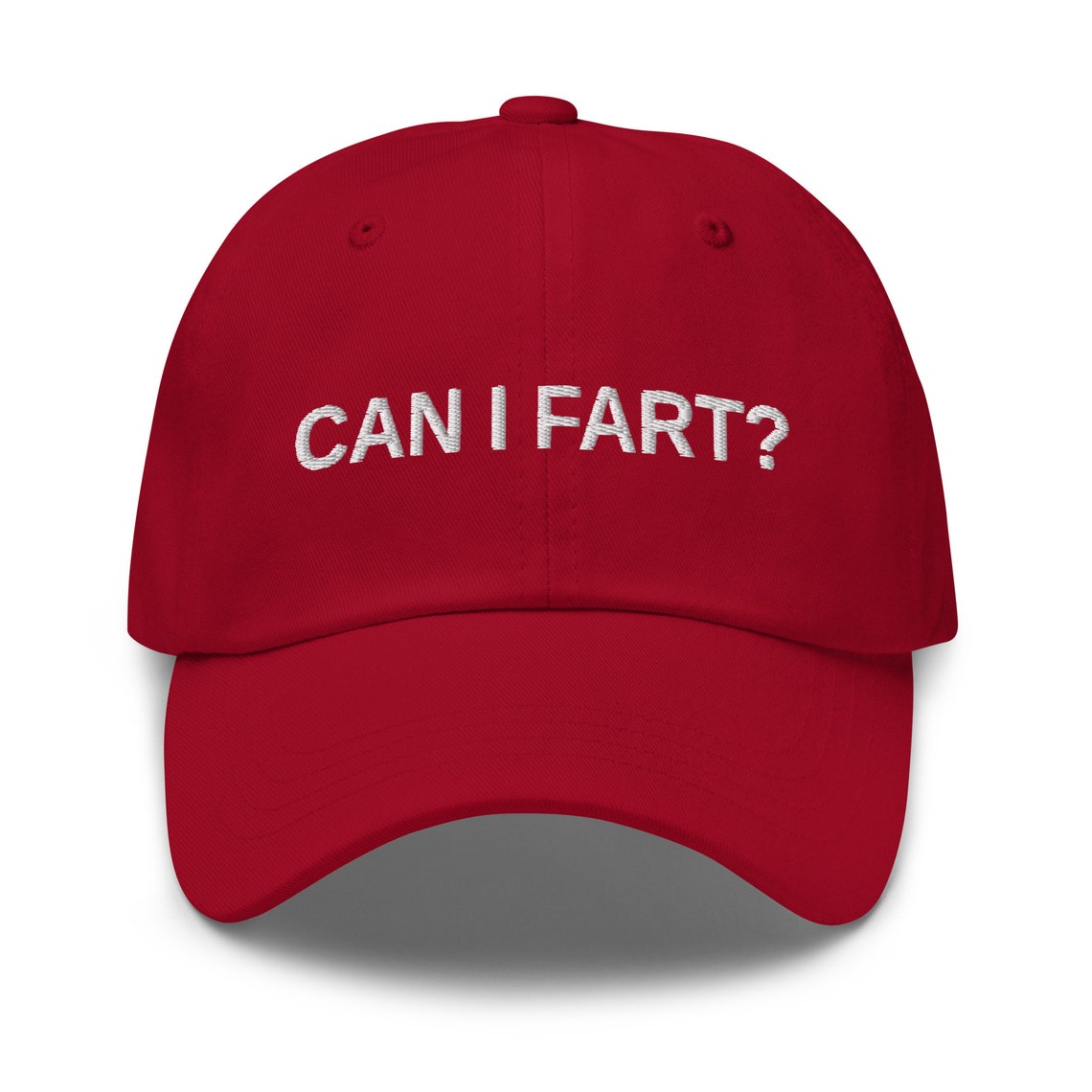 Can I Fart Hat, Funny Hat, Funny Gift, Funny Quote, Parody, Meme Gift ...