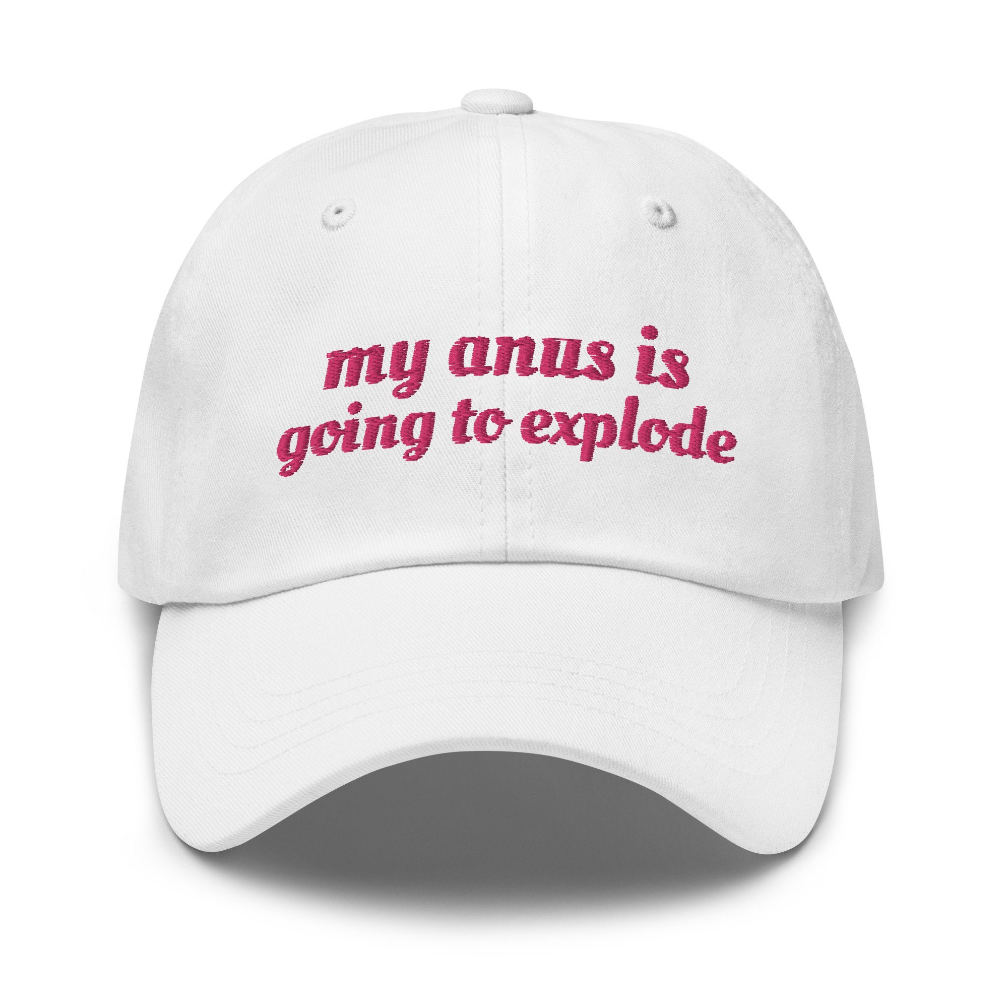 This Is My Hangover Hat Custom Embroidered White SnapBack
