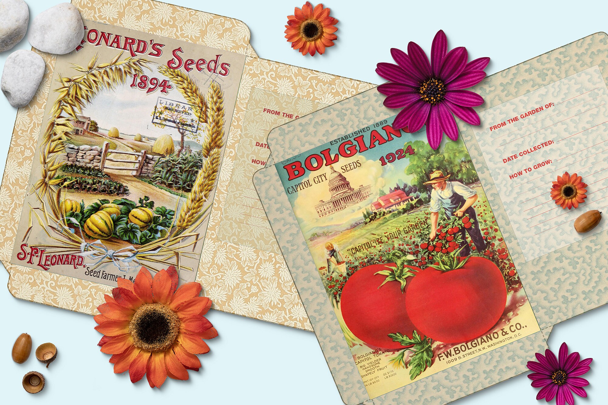 6 Printable Vegetable Seed Packets, Vintage Seed Envelopes, Botanical ...