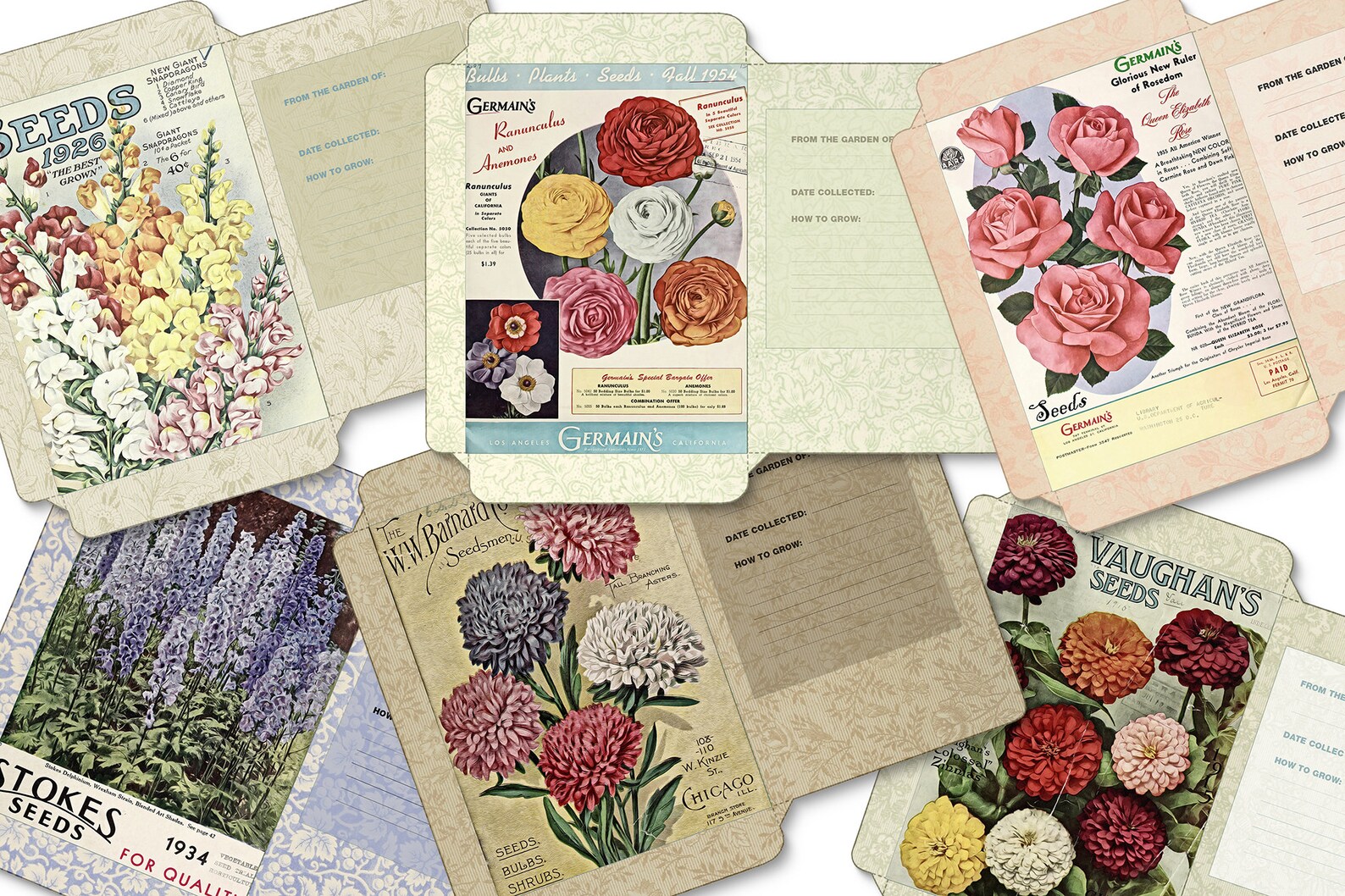 6 Vintage Flower Seed Packages, Botanical, Garden Seeds, Printable Seed ...