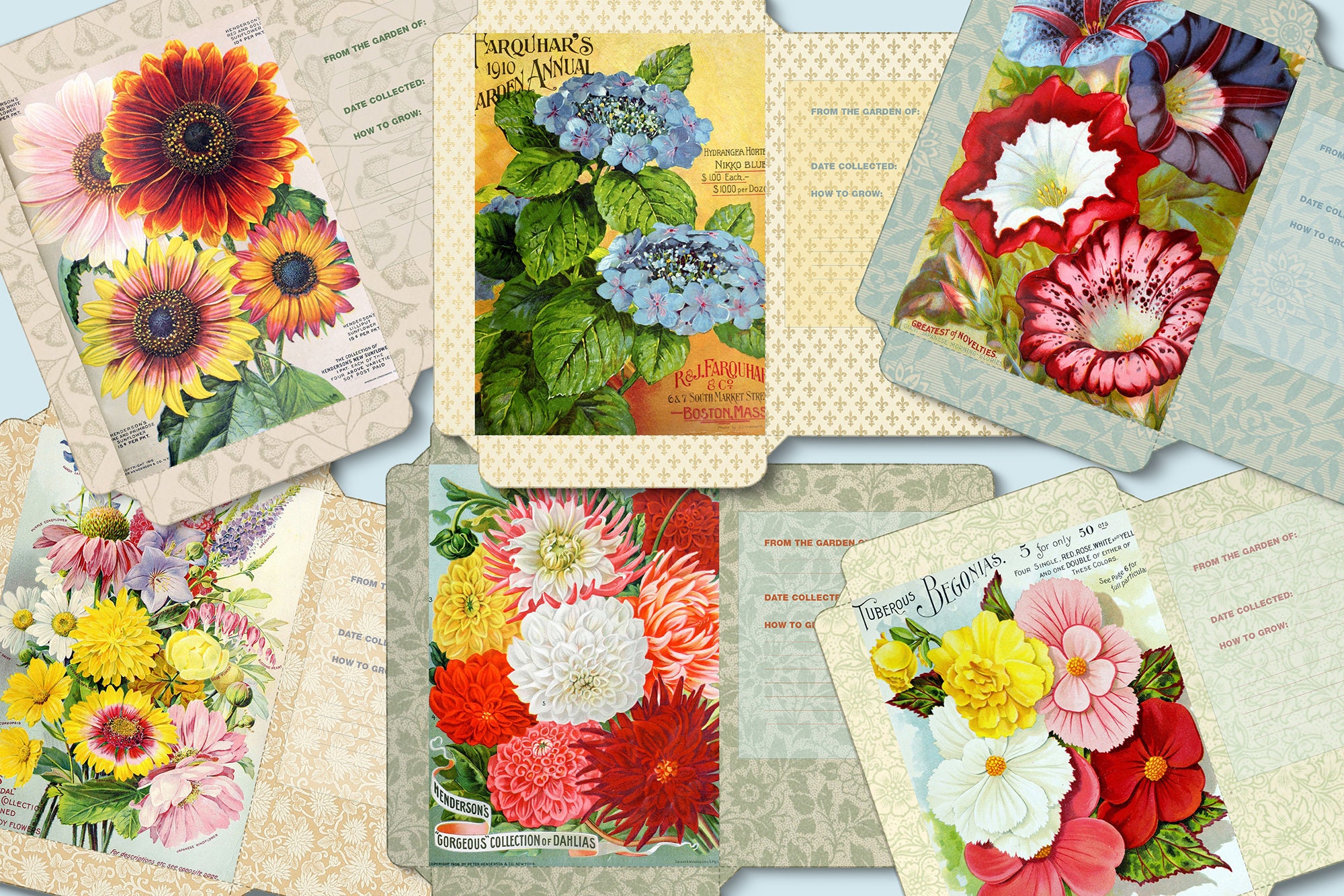 6 Vintage Flower Seed Packets, Printable Botanical Seed Packages ...