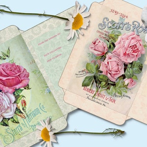 6 Vintage Garden Rose Seed Packets, Botanical Ephemera, Printable Seed ...