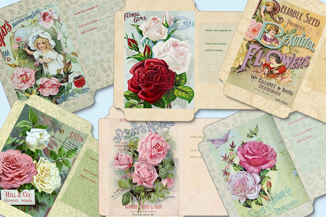 6 Vintage Garden Rose Seed Packets, Botanical Ephemera, Printable Seed ...