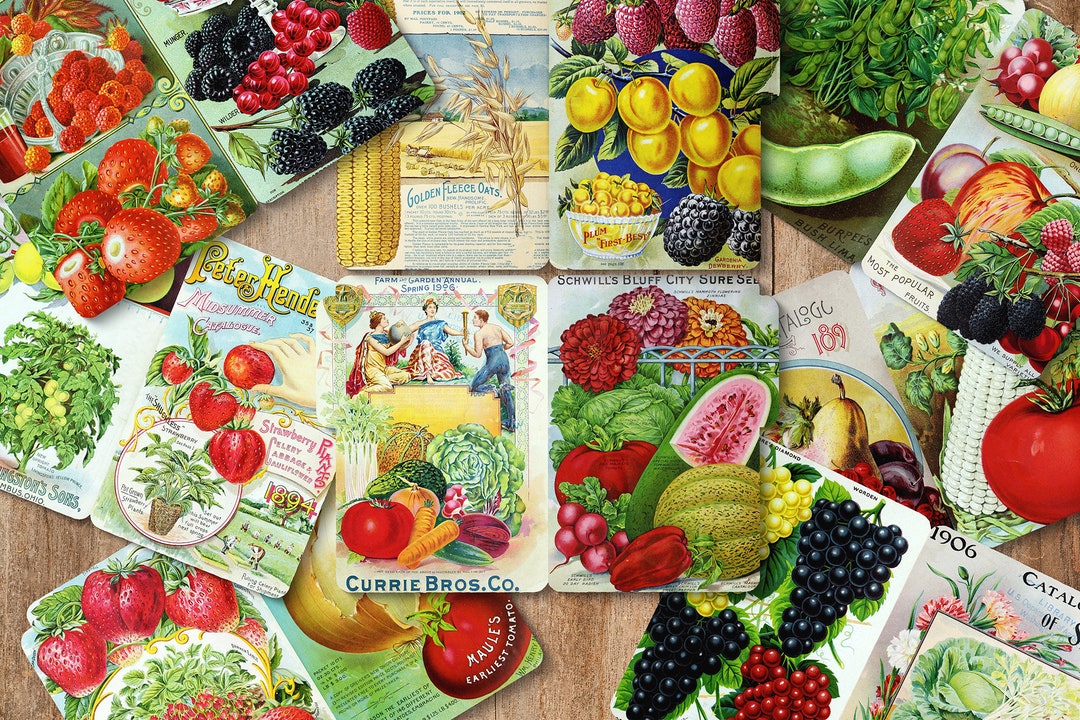 8 Vintage Fruit & Veg Folders, Printable Diary Dividers, Scrapbook ...