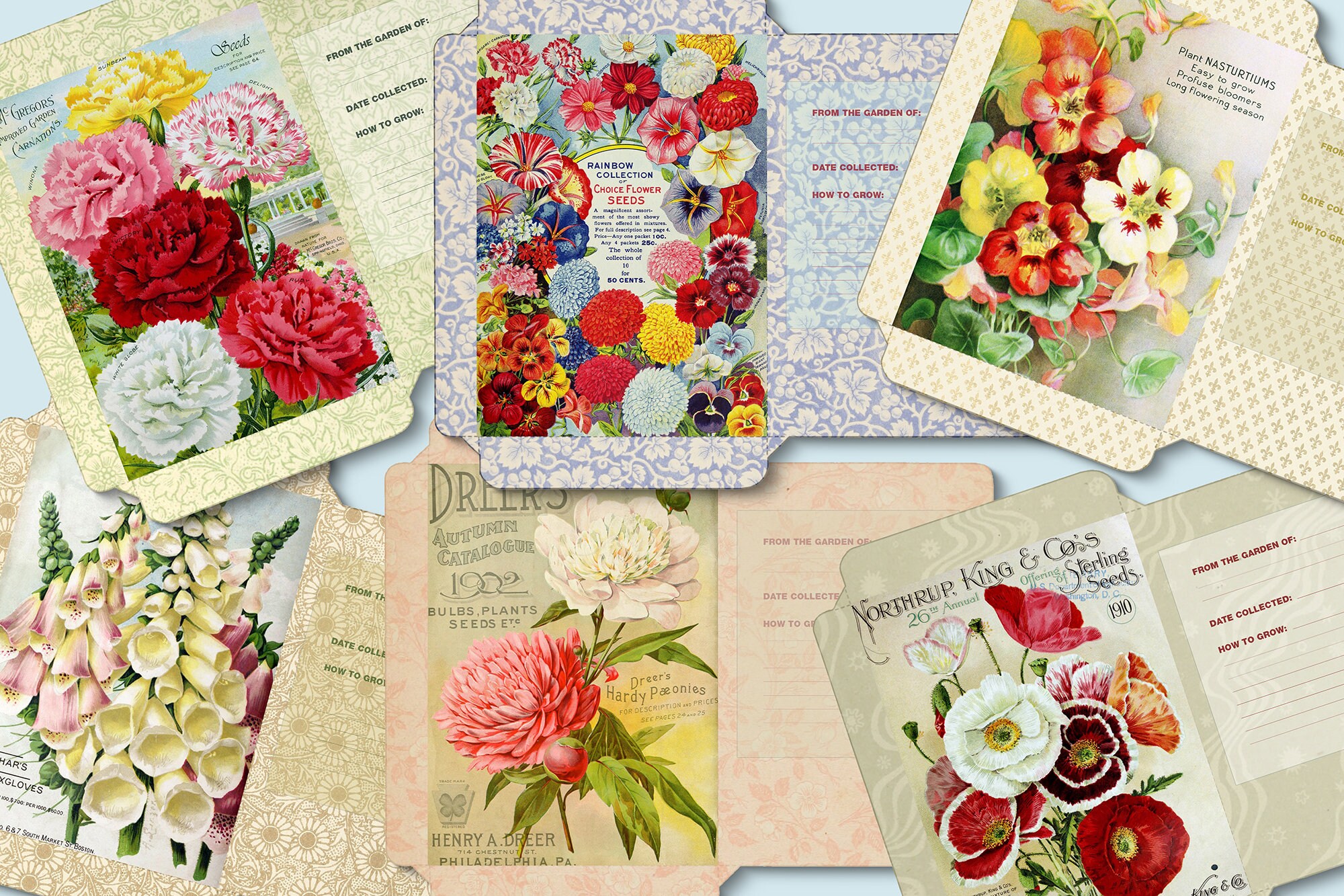 6 Vintage Flower Seed Packets, Printable Botanical Seed Packages ...