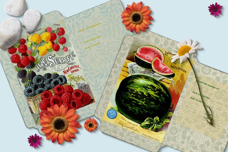 6 Vintage Fruit Seed Packets, Printable Seed Packages, Digital Download ...