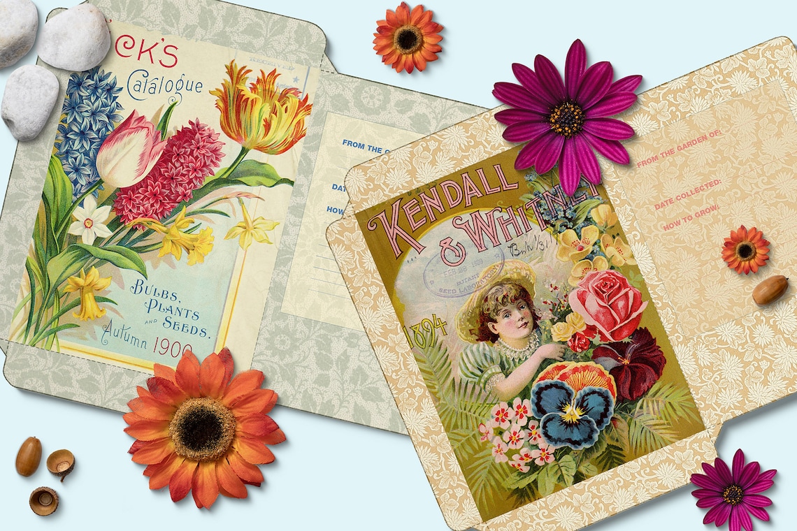6 Printable Flower Seed Packets, Seed Organizer, Mixed Seed Packets ...