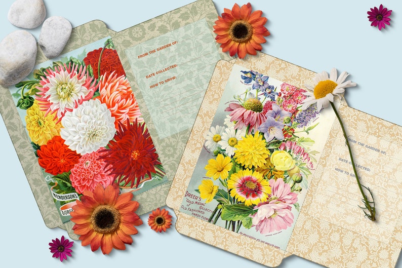 6 Vintage Flower Seed Packets, Printable Botanical Seed Packages ...