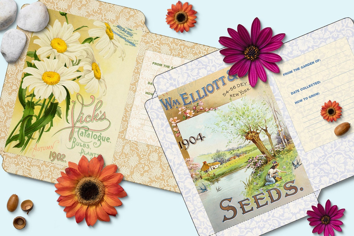 6 Printable Flower Seed Packets, Seed Organizer, Mixed Seed Packets ...