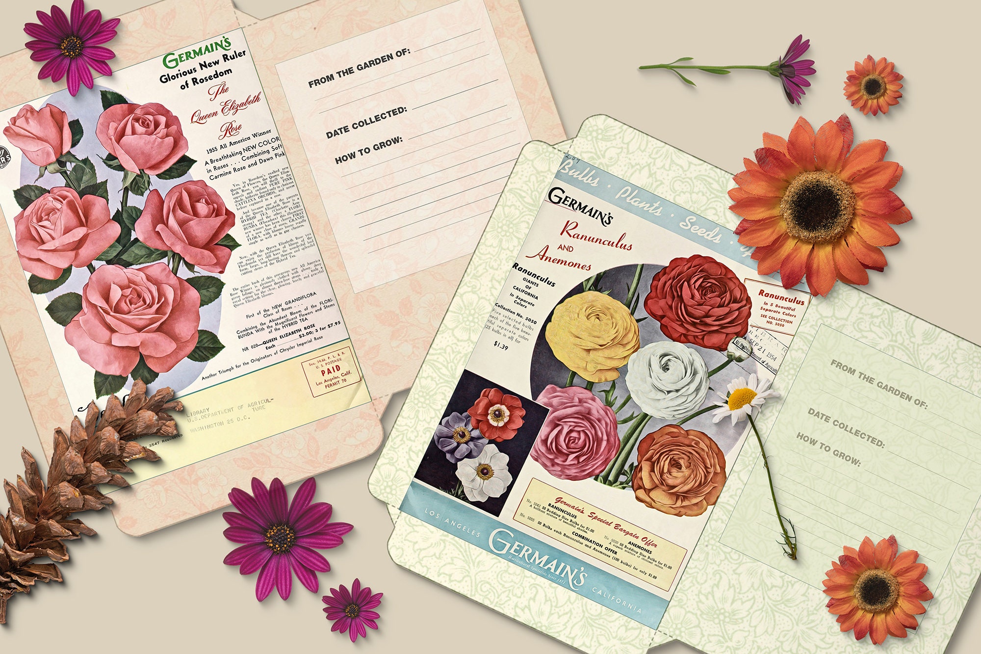 6 Vintage Flower Seed Packages, Botanical, Garden Seeds, Printable Seed ...