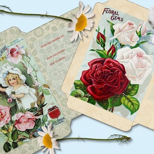 6 Vintage Garden Rose Seed Packets, Botanical Ephemera, Printable Seed ...