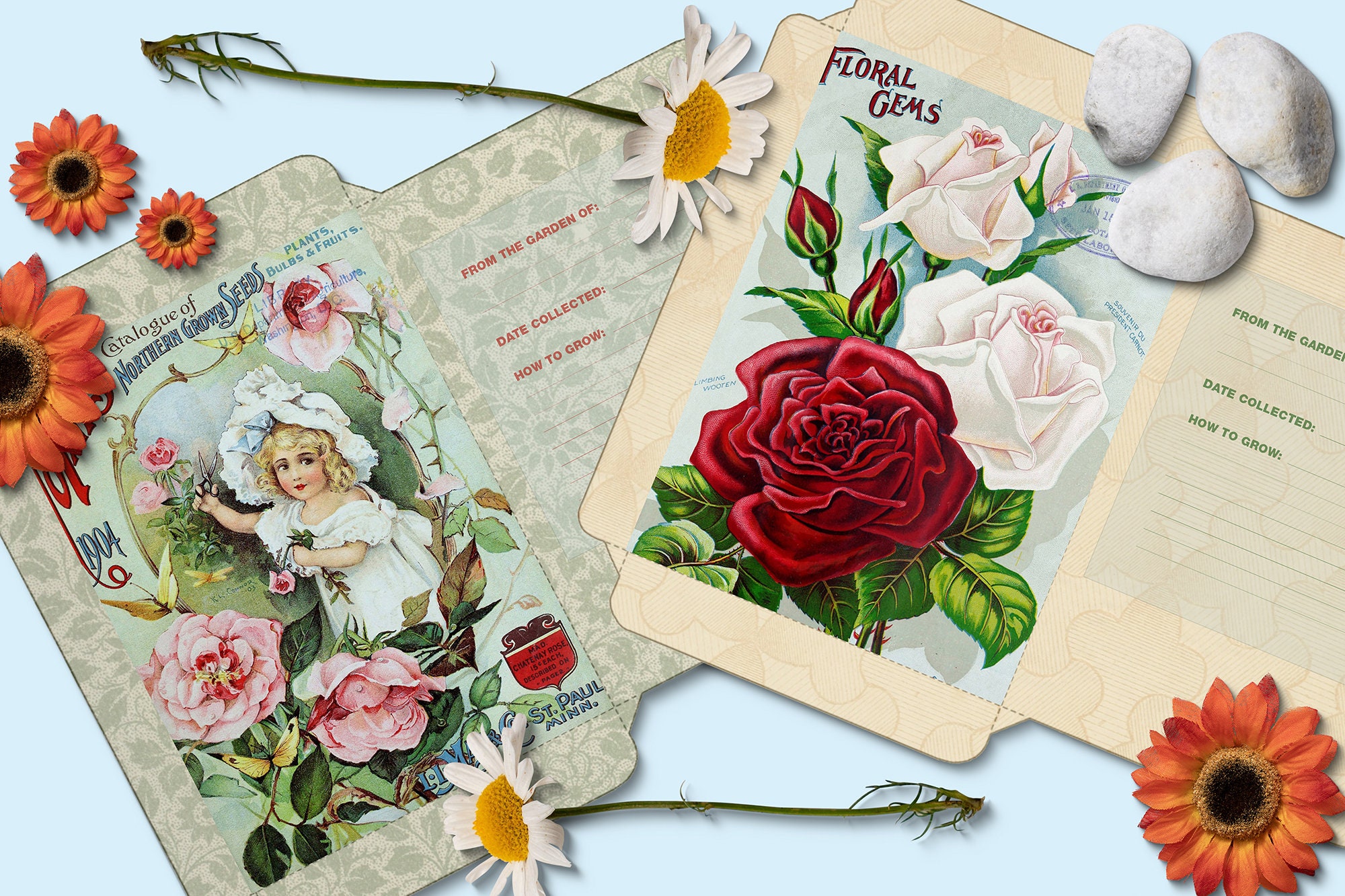6 Vintage Garden Rose Seed Packets, Botanical Ephemera, Printable Seed ...