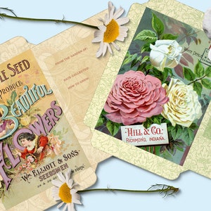 6 Vintage Garden Rose Seed Packets, Botanical Ephemera, Printable Seed ...