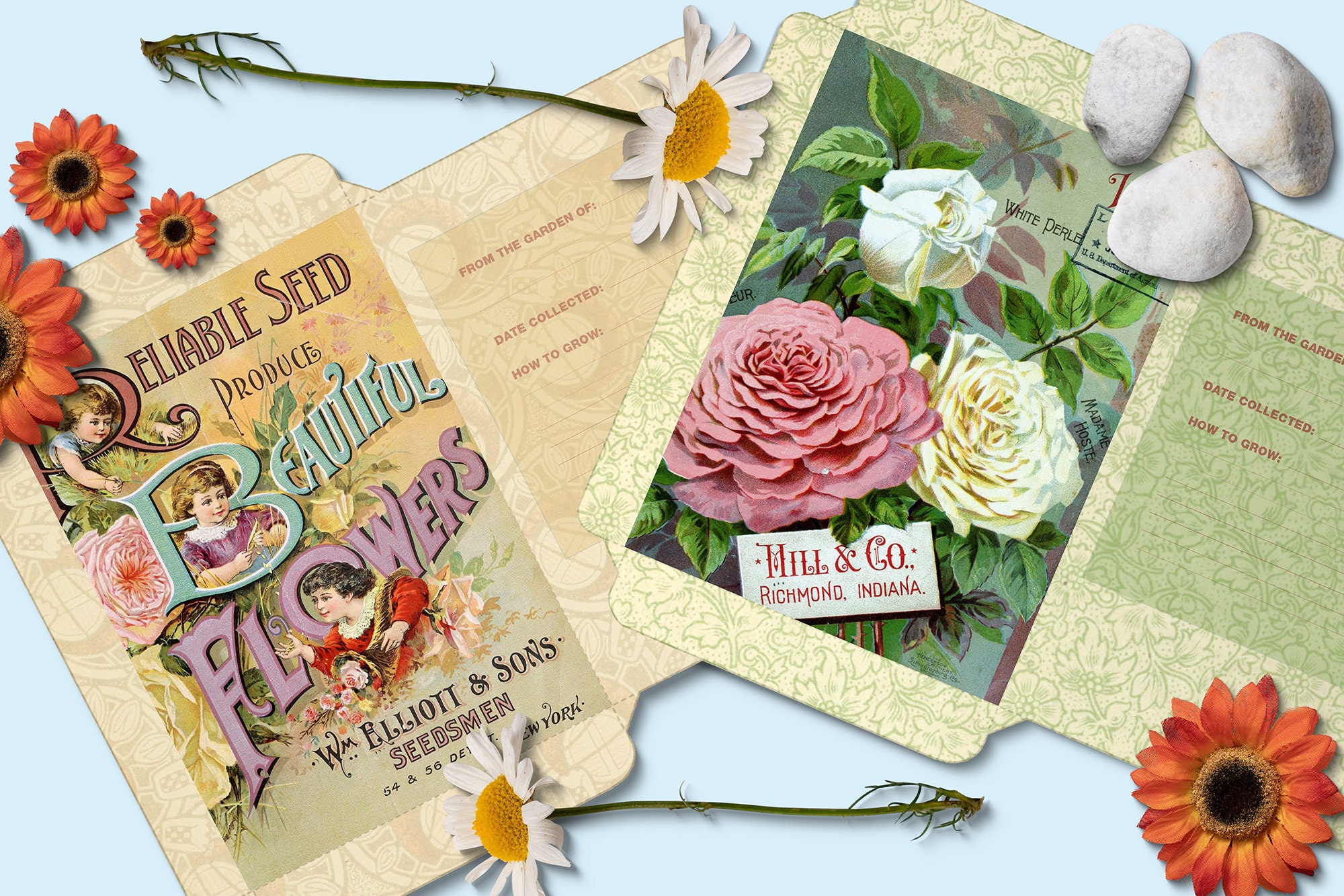 6 Vintage Garden Rose Seed Packets, Botanical Ephemera, Printable Seed ...