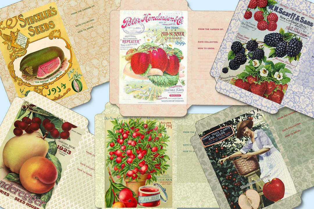 6 Vintage Fruit & Berry Seed Packets, Botanical Ephemera, Printable ...