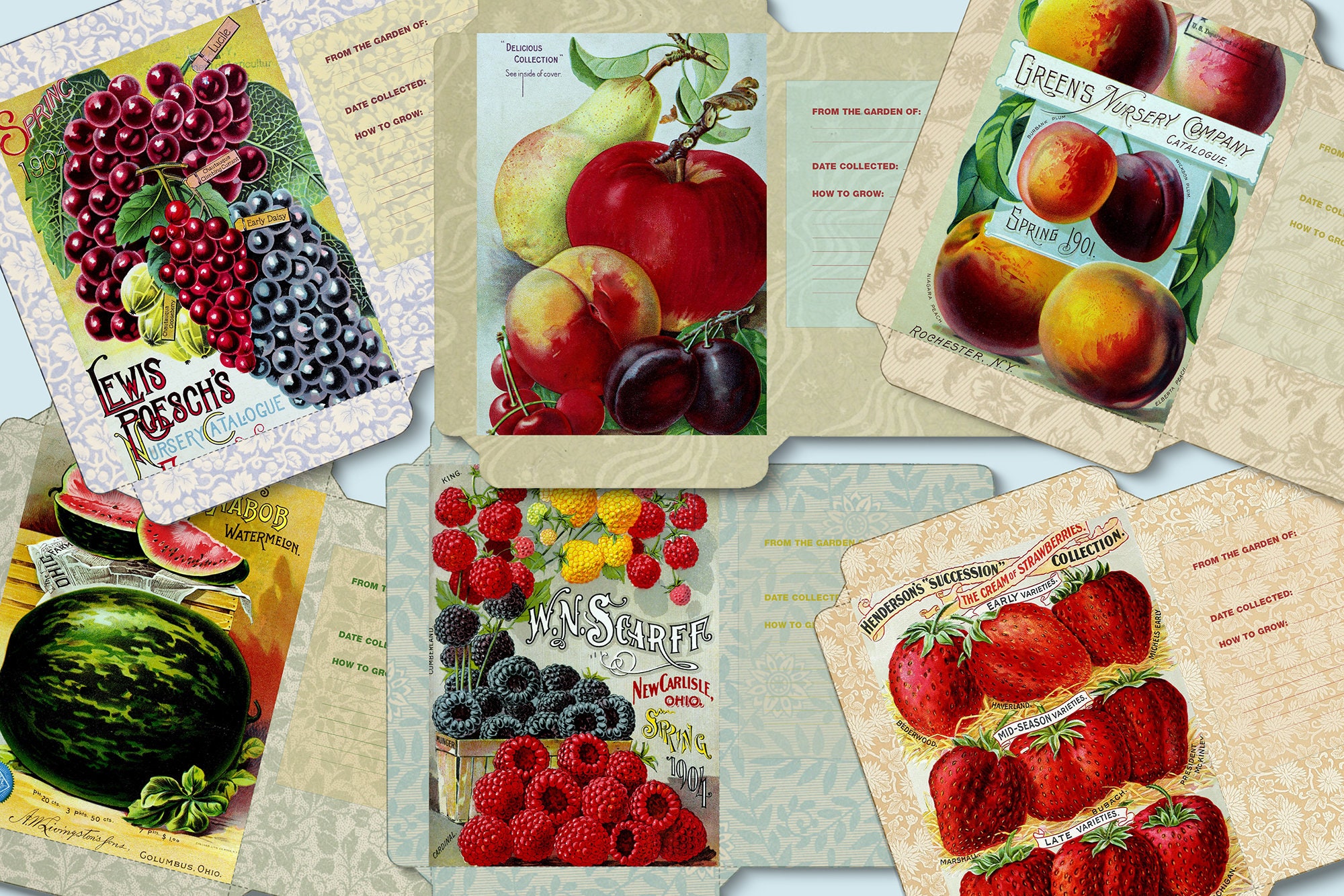 6 Vintage Fruit Seed Packets, Printable Seed Packages, Digital Download ...