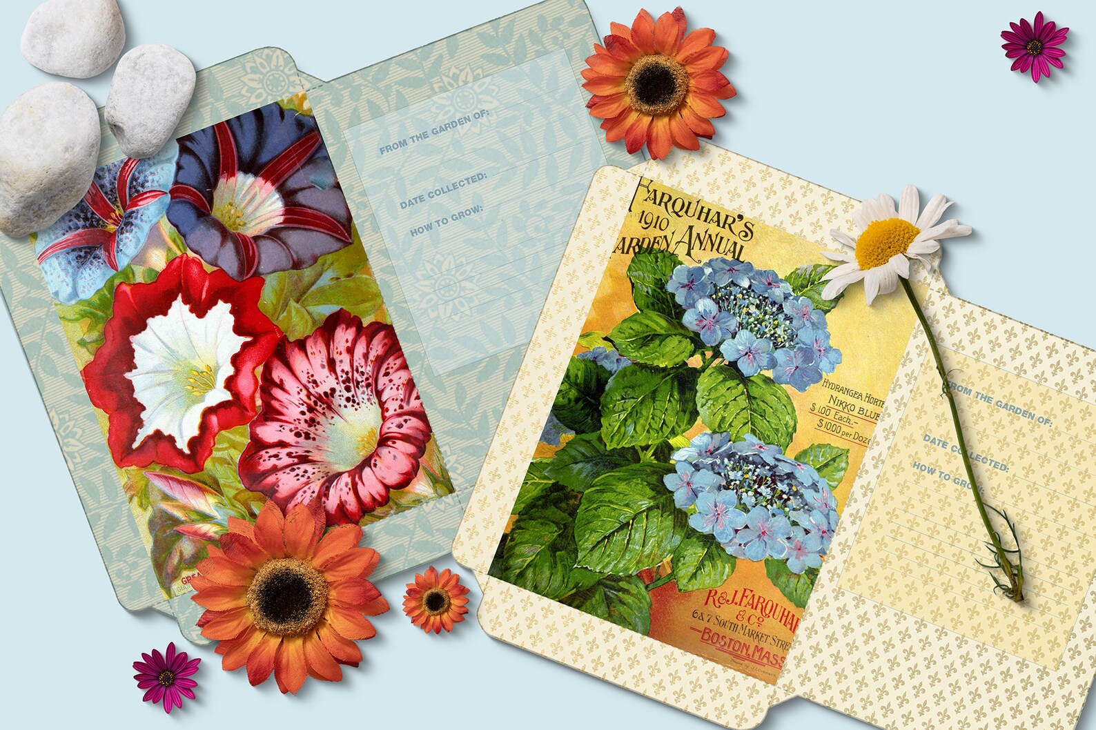 6 Vintage Flower Seed Packets, Printable Botanical Seed Packages ...