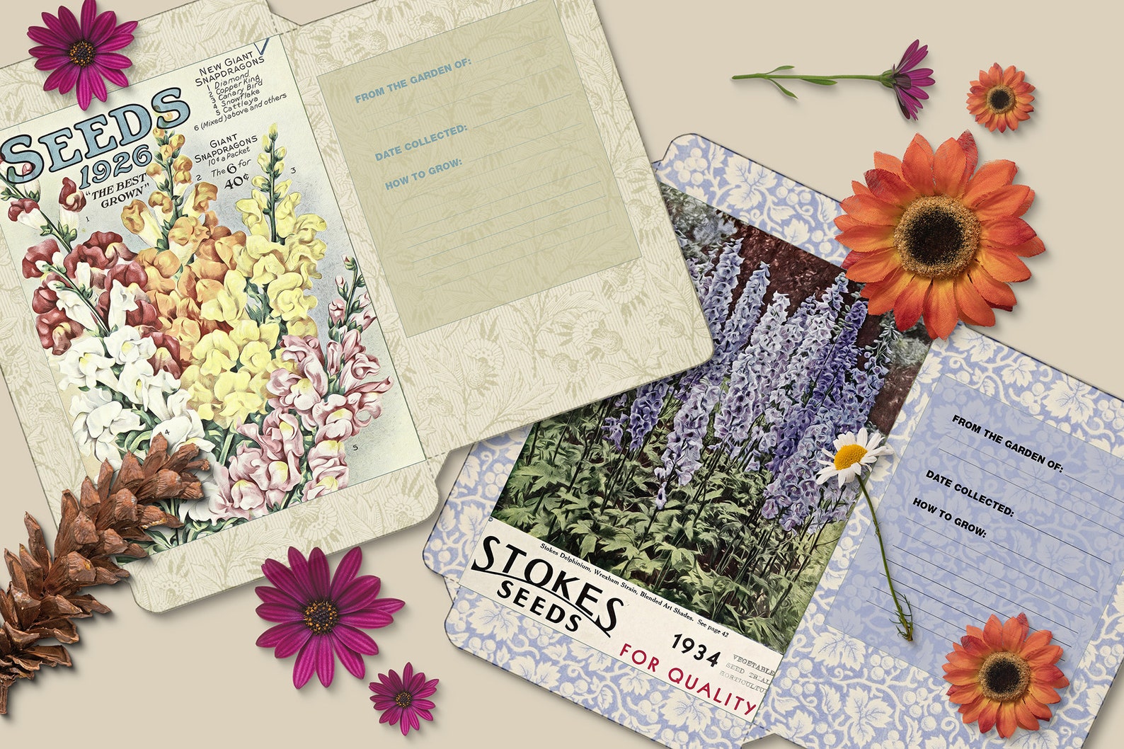 6 Vintage Flower Seed Packages, Botanical, Garden Seeds, Printable Seed ...