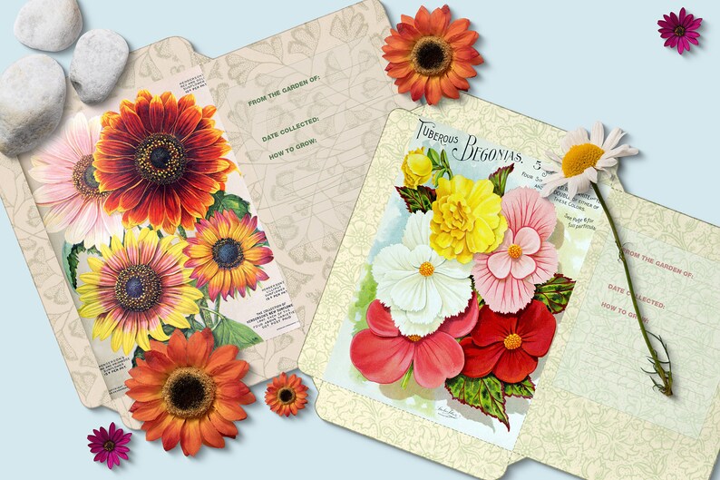 6 Vintage Flower Seed Packets, Printable Botanical Seed Packages ...