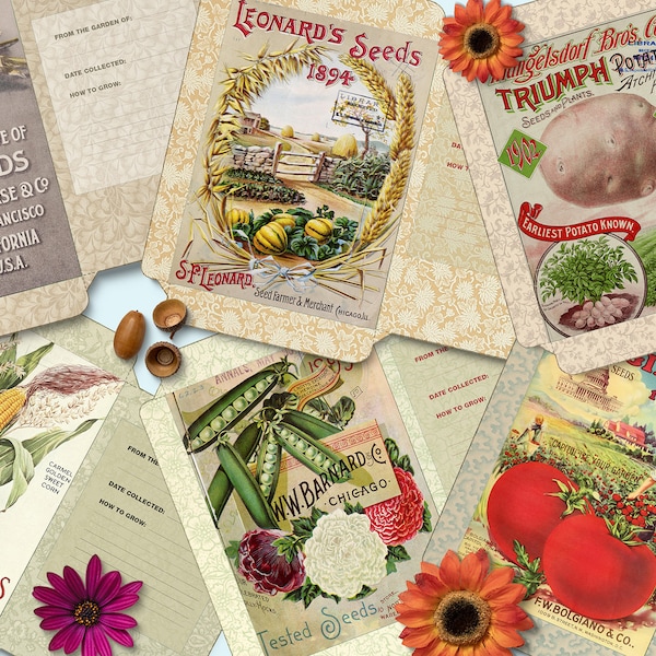 Vintage Seed Packets - Etsy